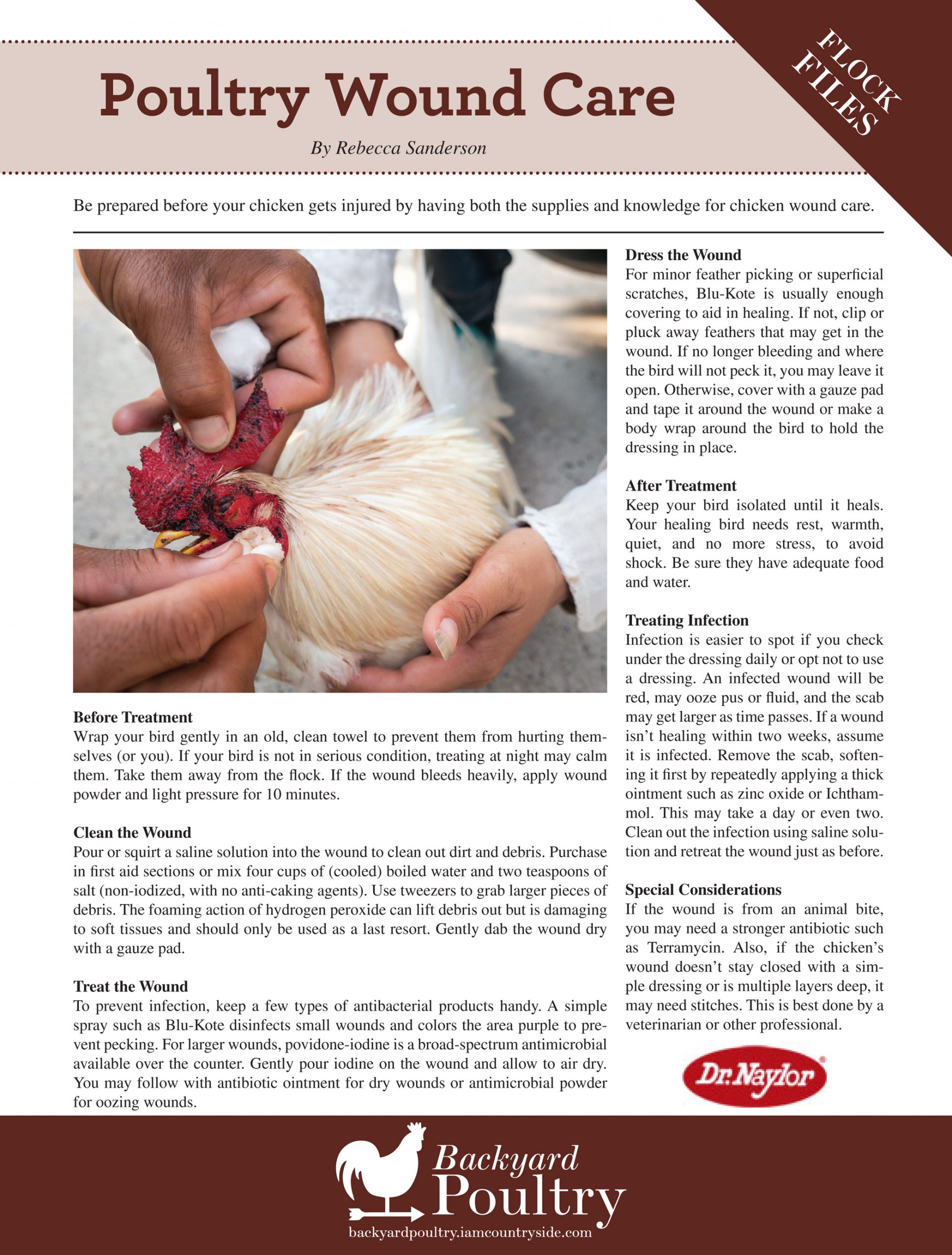 Poultry Wound Care - Backyard Poultry